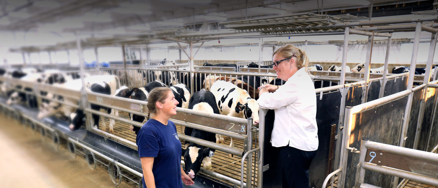 Careers – Délimax