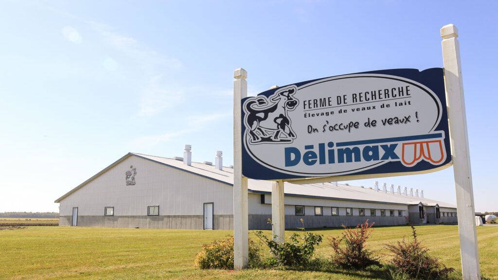 Services et transformation – Délimax